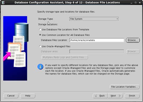 Linux下oracle安装指南：创建目录、设置变量与权限配置详解 Linux命令大全手册