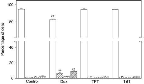 The Effect Of Organotin On Thymocytes Isolated From The Mouse Thymus At