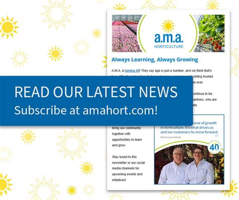 Cornelia Connie Bradt Posted On Linkedin