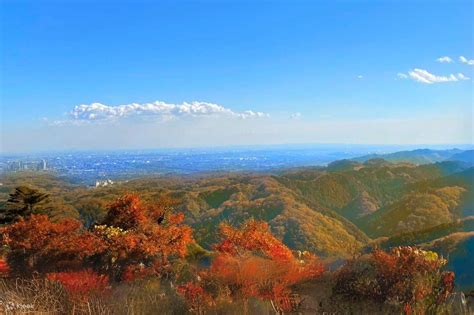 Tokyo City Mt Takao One Day Hiking Tour With Autumn Leaves Viewing