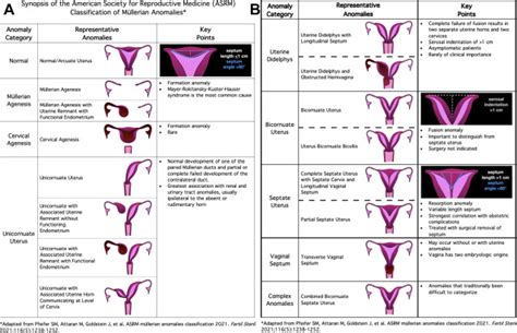 Mr Imaging Of Müllerian Anomalies Magnetic Resonance Imaging Clinics