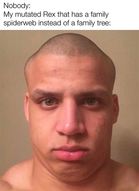 Its Evolving Scrolller