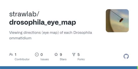 Drosophilaeyemapdrosophilaeyemapinspectweightmappy At Master