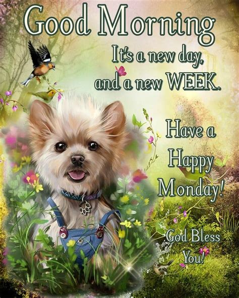 Good Morning Happy Monday Cute Images Wisdom Good Morning Quotes