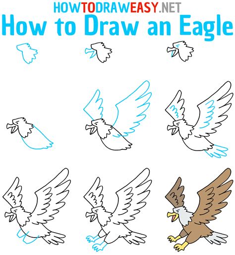 Eagle Face Drawing Easy Step By Step
