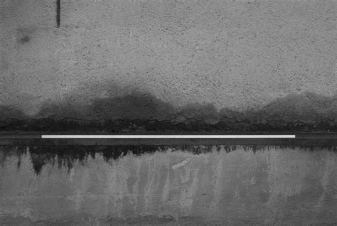 Home Dalibor Borovec