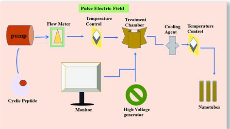 Pulse Electric Field Method Or Setup For Formation Of Nanopeptides From Download Scientific