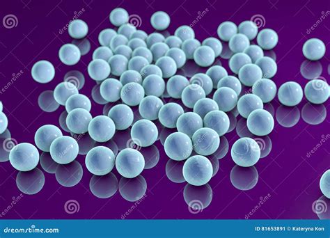 Staphylococci Spherical Bacteria Royalty Free Cartoon 81653891