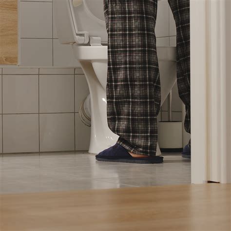 Check Prostate Basel Laboratory Incontinence