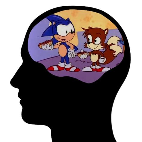 My Two Autistic Brain Cells After Entering The Sonic Fandom This Month R Aspiememes
