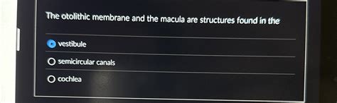 The Otolithic Membrane And The Macula Are Structures