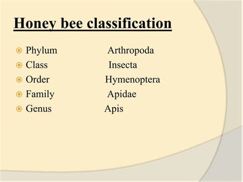 Apiculture Introduction Species Types And Different Methods Of