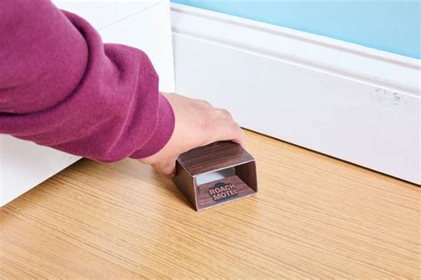 The 6 Best Roach Killers Of 2025 Reviewed By Bhg