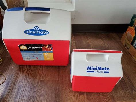 Igloo Mini Mate And Playmate Cooler Bid Assets Online Auctions