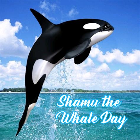 Plantilla De Shamu The Whale Day Instagram Post Postermywall
