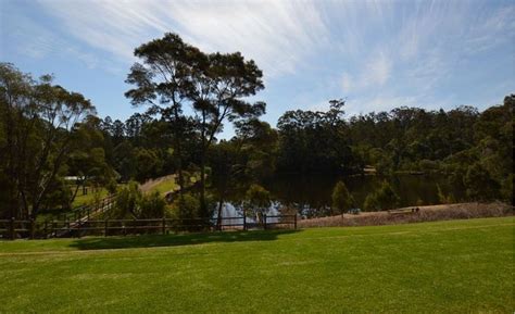 Old Vasse Trout And Marron Farm 2026 All You Need To Know Before You