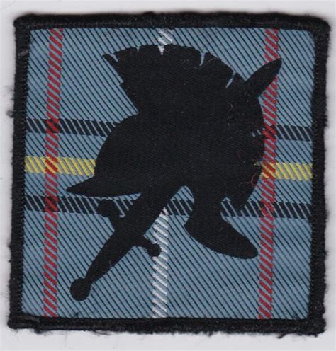Raf Patch Royal Air Force 6 Fp Force Protection Wing Leuchars Regiment