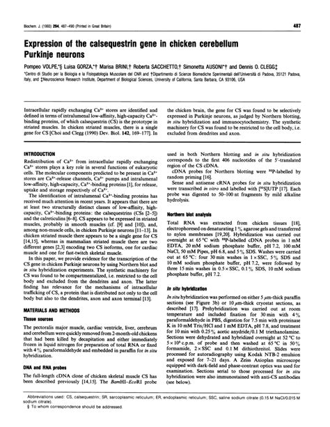 Pdf Expression Of The Calsequestrin Gene In Chicken Cerebellum