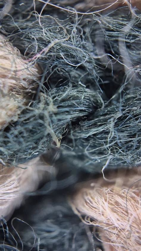 Cotton Details A Macro Video Of Textiles Under The Microscope Stock