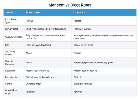 Monocot Vs Dicot Roots