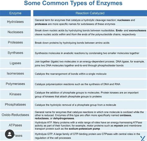 Best 13 What Is The Difference Between Restriction Enzyme And