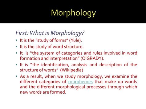 Morphology Definition Solution Chapter 4 Productivity In Word