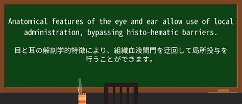 【英単語】hematicを徹底解説！意味、使い方、例文、読み方 おもしろい英文法