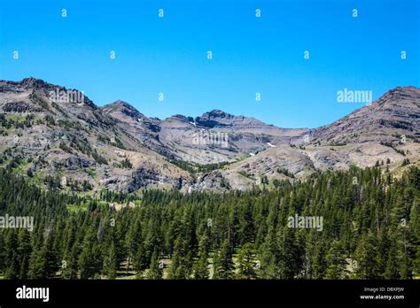 Sardine Falls In The Sonora Pass Along Highway 108 In The Sierra Nevada