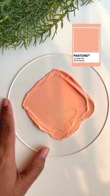 𝘼𝙧𝙩𝙞𝙨𝙩 𝙁𝙖𝙢𝙞𝙡𝙮 🎨 On Instagram Peach Nectar 🧡💛 Double Tap If You Like