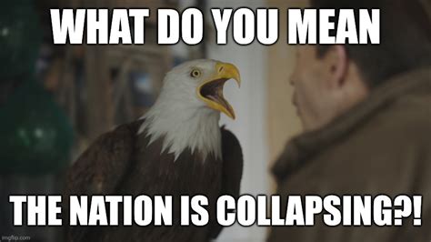 Bald Eagle Profile Memes