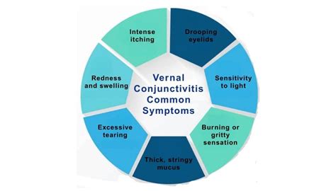 Vernal Conjunctivitis Causes Symptoms And Treatment Laxmi Eye Hospital