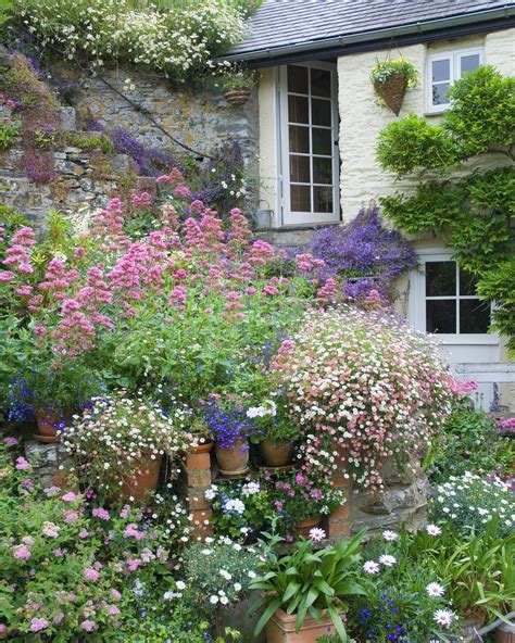 Back Porch Gardening Artofit