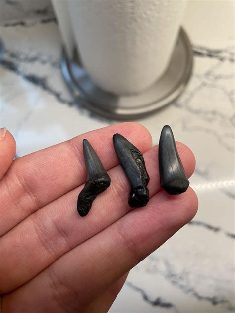 Are These Mako Teeth Rsharkteeth