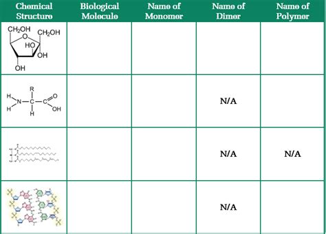 Solved Chemical Structure Ch2oh Ch2oh Biological Molecule