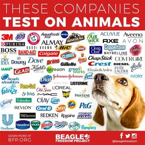 Companies That Test On Animals Hayvan Hakları Hayvan Hayvanlar