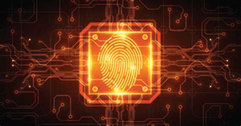 Understanding The Types Of Biometrics Scanone