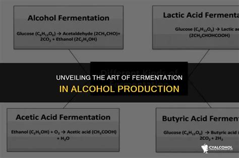 Unveiling The Art Of Fermentation In Alcohol Production Cyalcohol