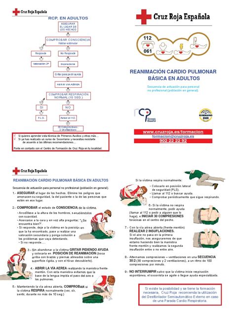Rcp Basica Adultos Pdf Reanimación Cardiopulmonar Medicina Clinica