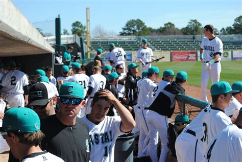 Ccu Baseball 2013 Is At At Pelicans Ballpark College
