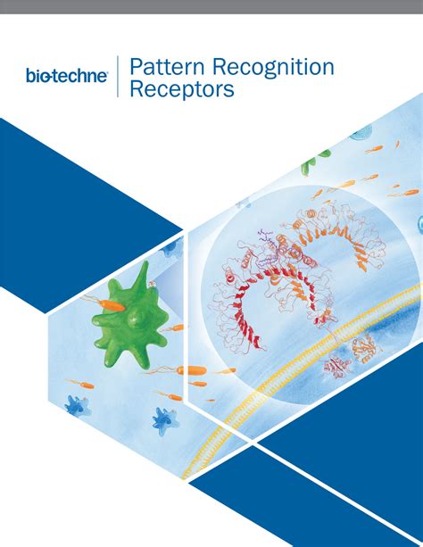 Pattern Recognition Receptors Pattern Recognition Receptors Pattern