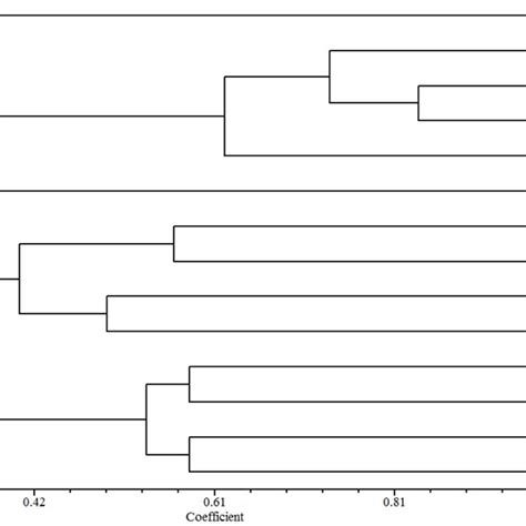 Dendrogram Derived From A Upmga Analysis Using Dice Coefficient Based Download Scientific