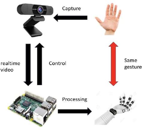 Figure 1 From A Low Cost Raspberry Pi Based Control System For Upper Limb Prosthesis Semantic