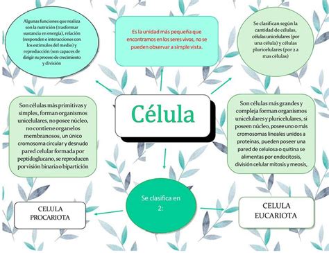 Organizador Visual Sobre La Celula Universidad César Vallejo Udocz