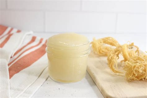 Easy 2 Ingredient Sea Moss Gel Recipe Kateable