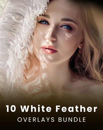 25 White Feather Overlay Collection Instant Download