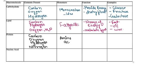 Macromolecules Chart Ap Biology