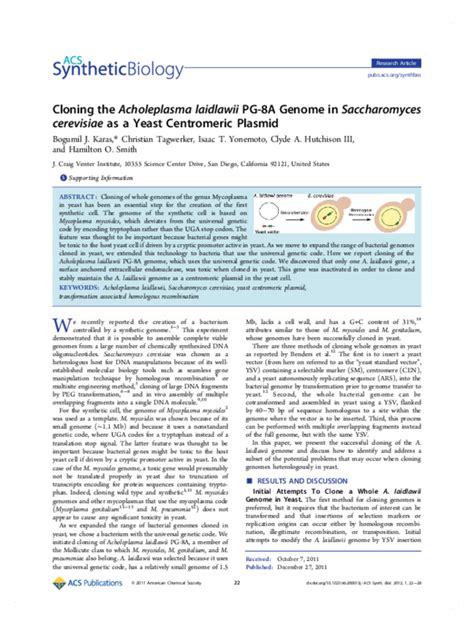 Pdf Cloning The Acholeplasma Laidlawii Pg 8a Genome In Saccharomyces Cerevisiae As A Yeast