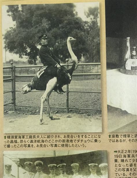 ぶq🍵お絵描きれんしゅうちう On Twitter Rt Nysalor そう言えば歴群買ったんだけど、木村昌福提督がチョコボに乗ってる写真見て腹がよじれるほど笑ったのでみんな買おう