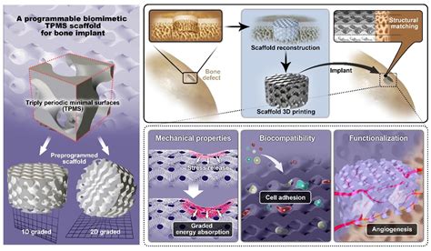 Recent Developments In Novel Tpms Lattice Materials Design