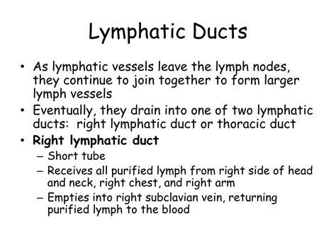 Ppt Lymphatic System Powerpoint Presentation Free Download Id2152823
